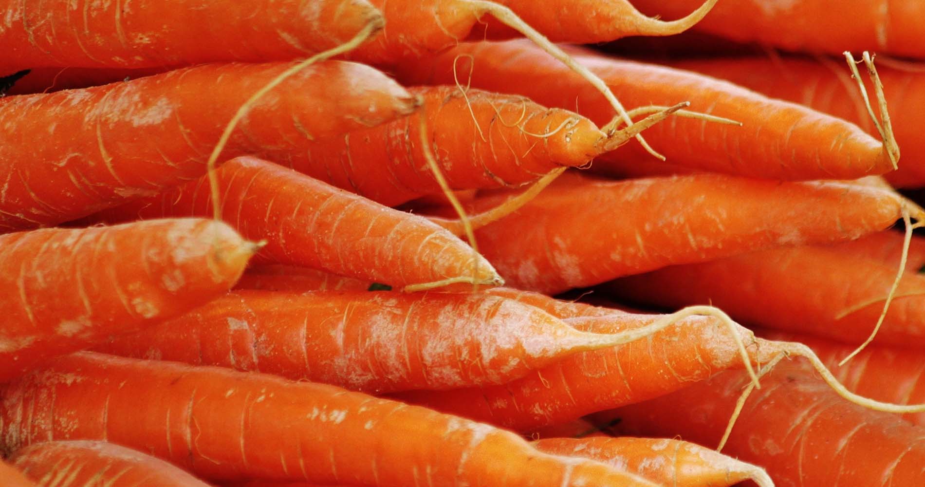 Empire - Sharda CropChem Canada