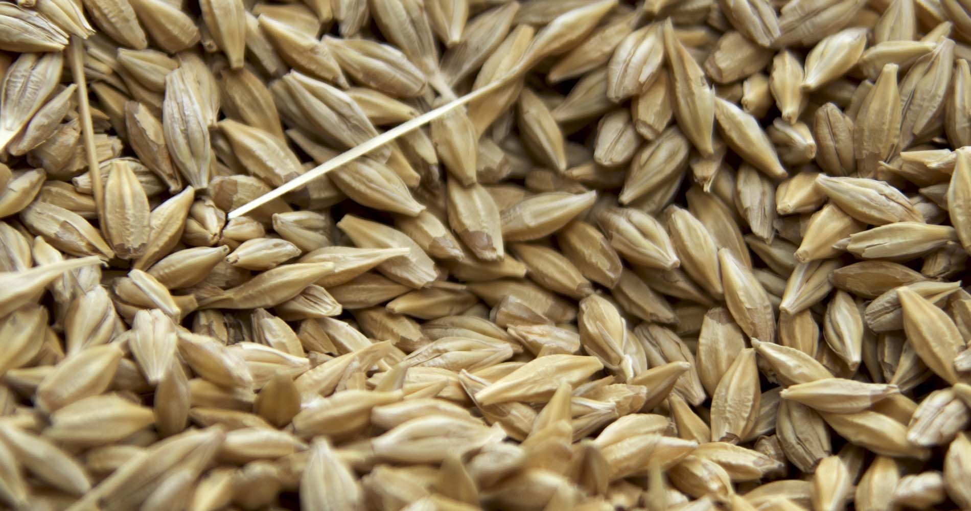 Lixar PRO - Sharda CropChem Canada