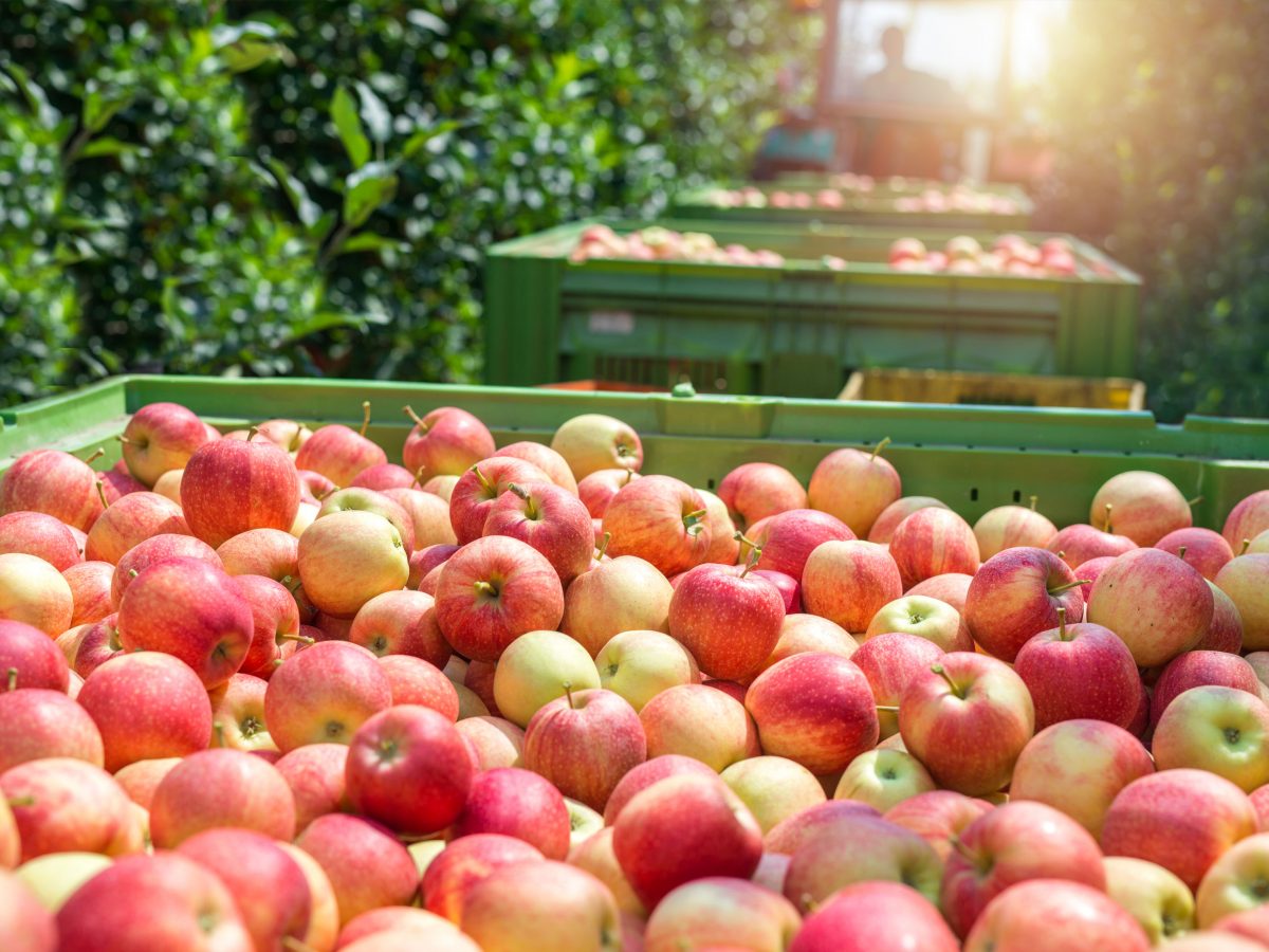 Products - Sharda CropChem Canada